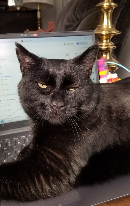 Ace of Spades Pet Thread, Oct 11