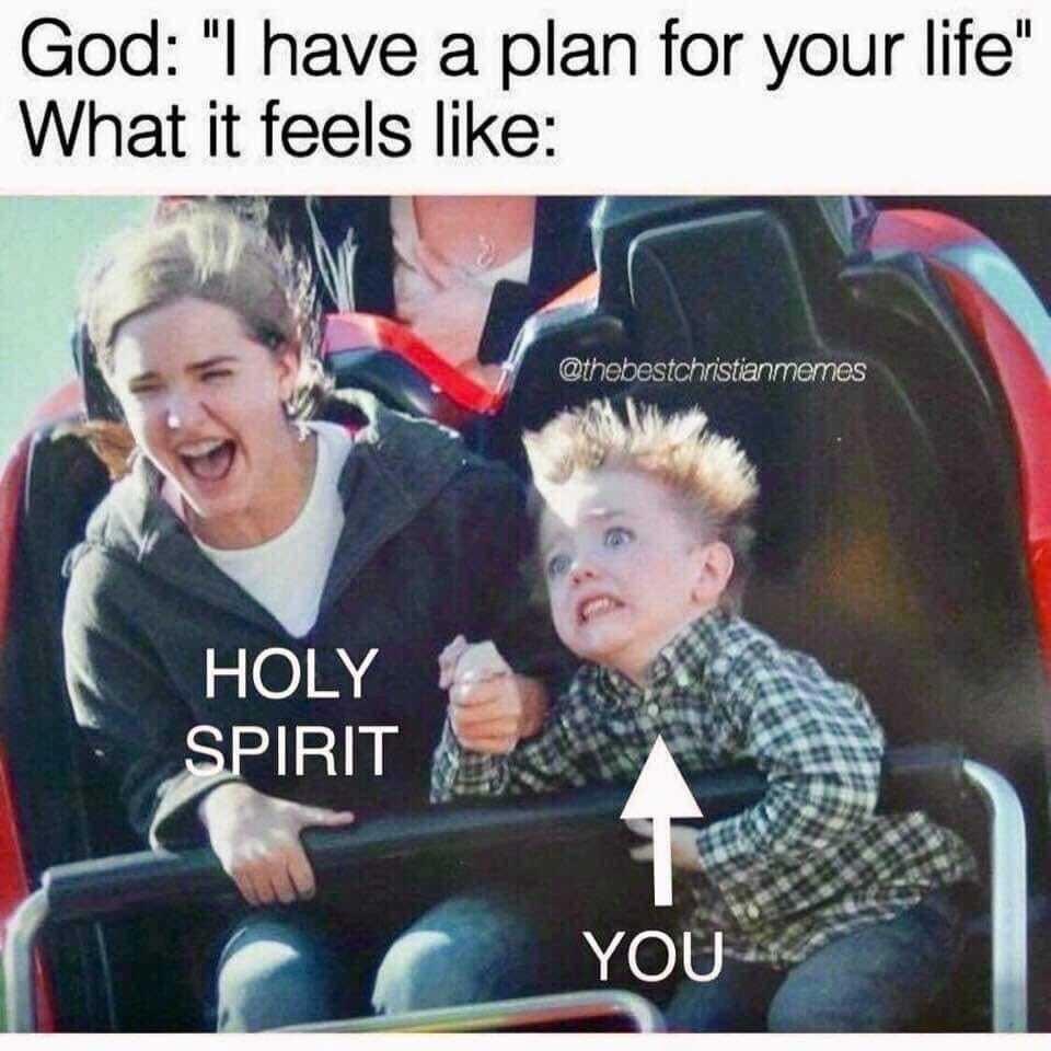hs roller coaster 01.jpg