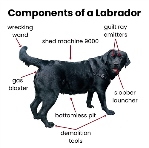 Ace of Spades Pet Thread, October 4