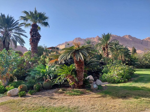 Gardening, Puttering and Adventure Thread, Oct. 19