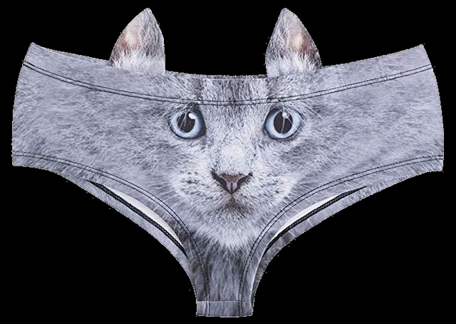 ugly pants 20201101.jpg